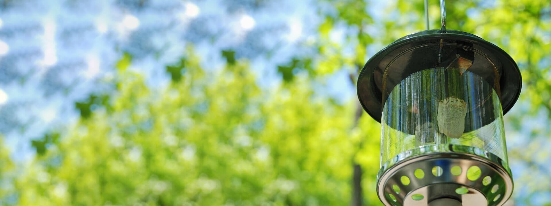 Gaslight Mantles, Mantles for Camping Lamps - Online Shop